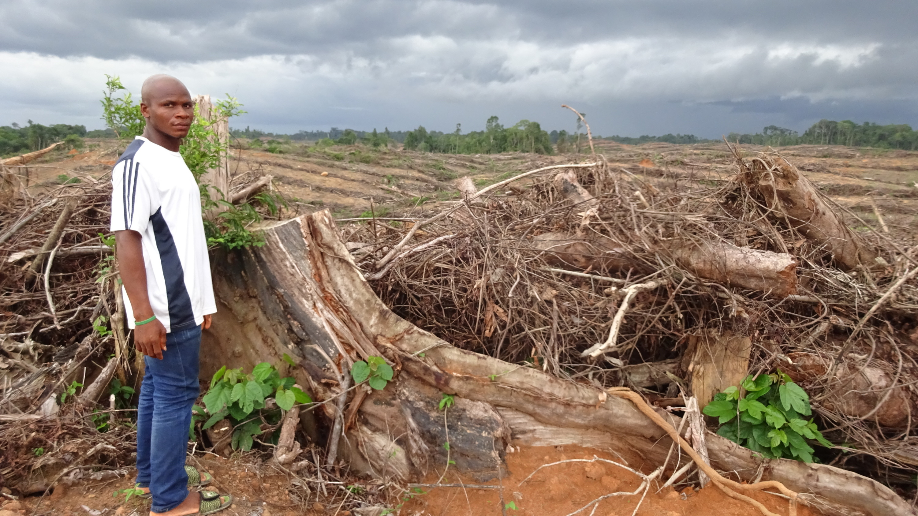 Golden Veroleum Liberia’s track record: broken promises and continued ...